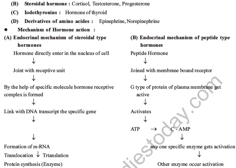 NEET Biology Chemical Coordination and Control MCQs Set B with Answers